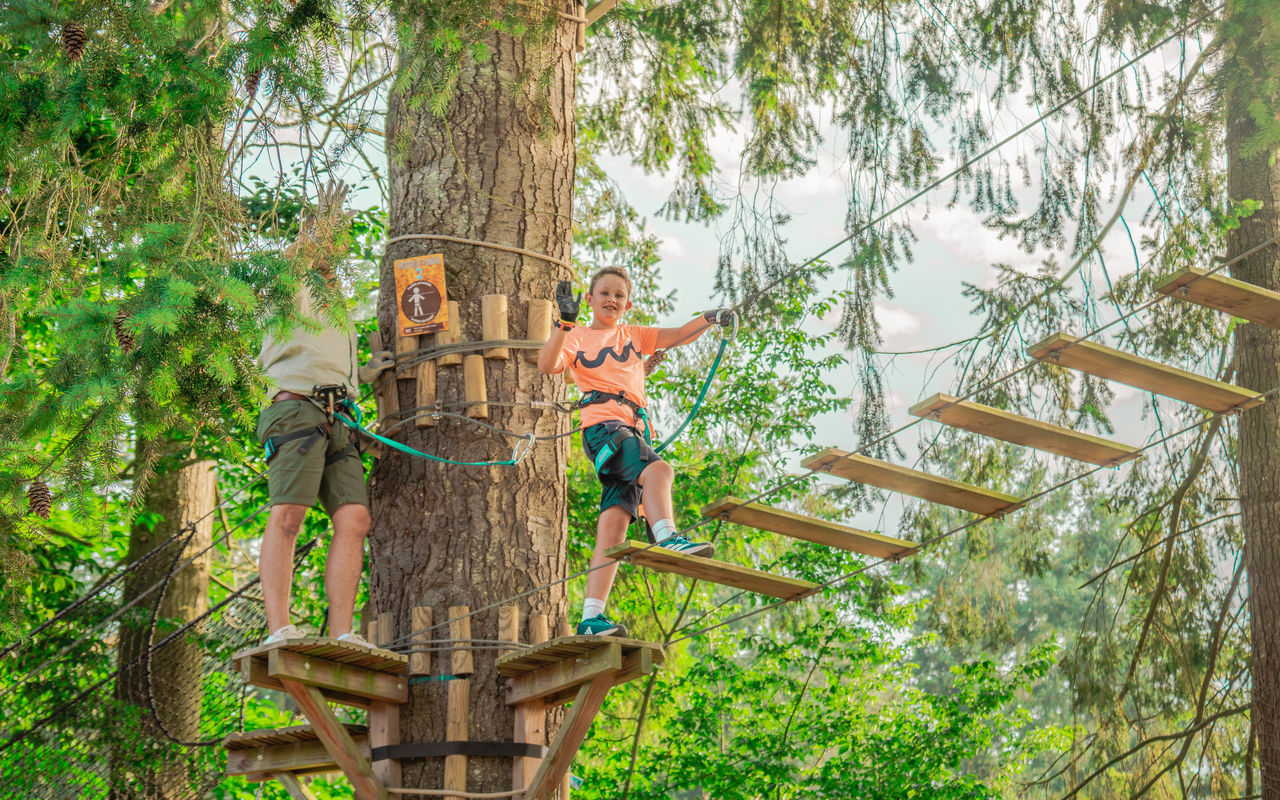 Adventure course in tree - Adventure Park - Les Ormes
